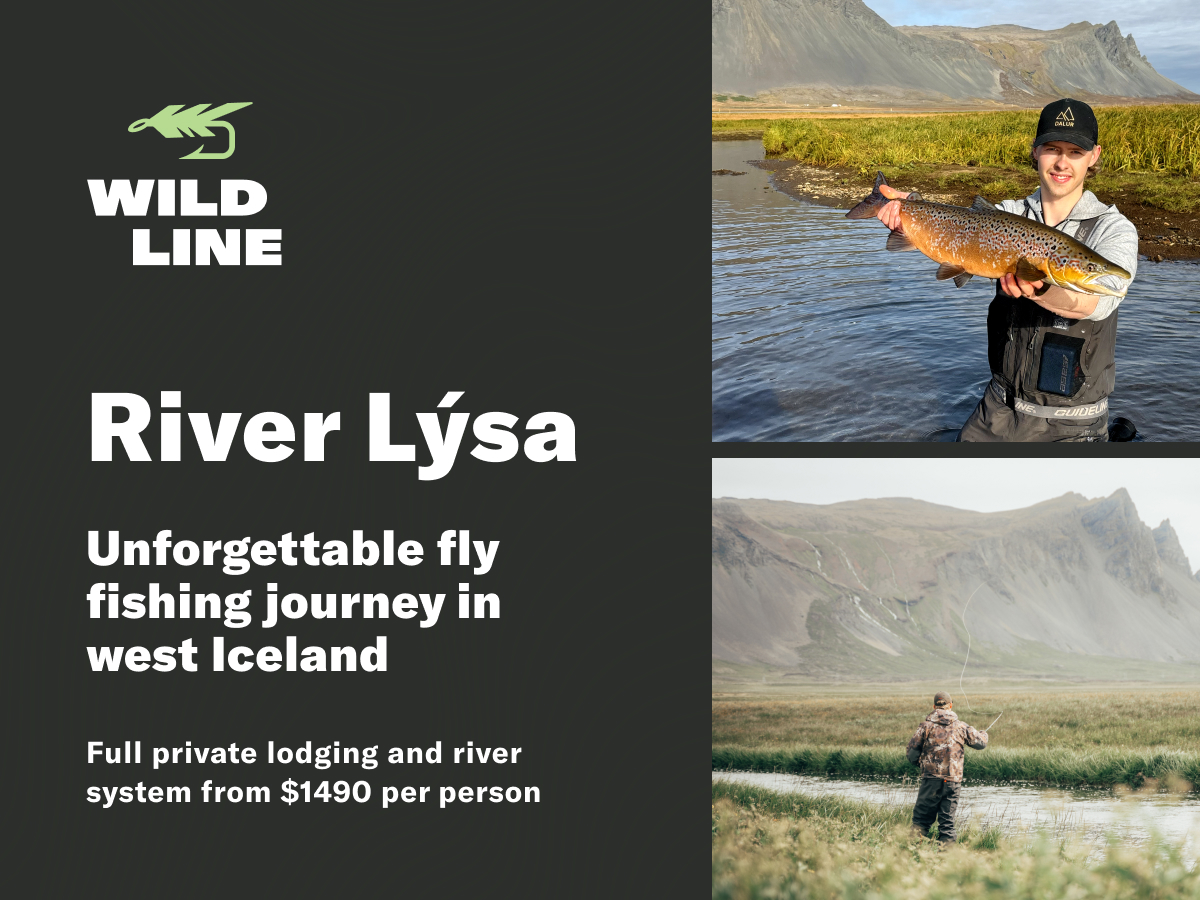Fly Fishing in Iceland – Wildline Guides